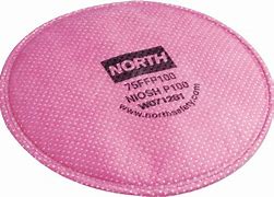 Honeywell North 75FFP100 P100 Respirator Filter — WC Safety